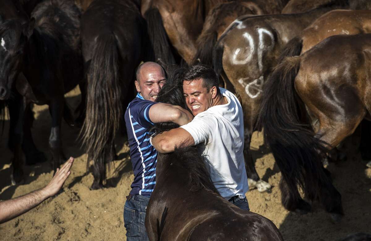 World news photos: Battle over bulls, Syrian leisure moment and more