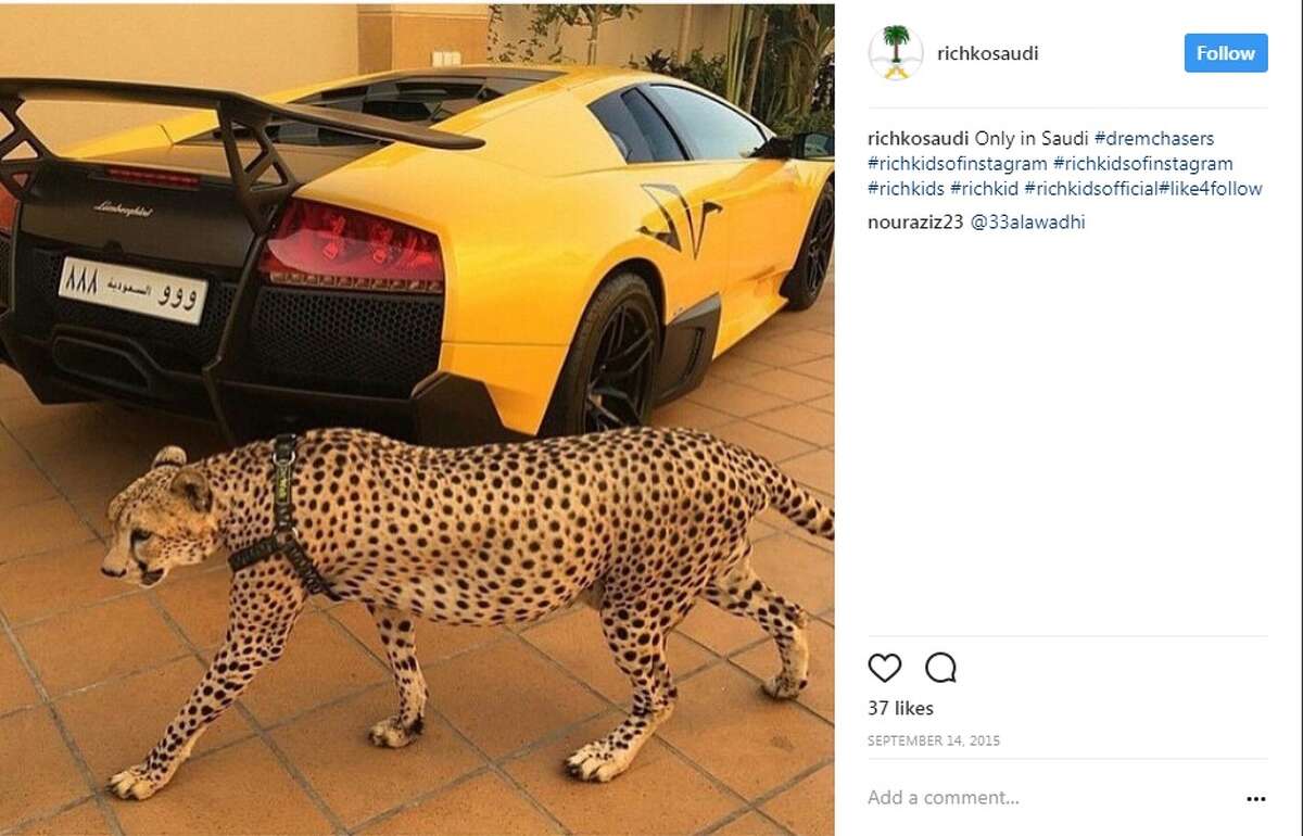 The rich kids of Saudi Arabia flaunt exotic pets, cars and private jets ...
