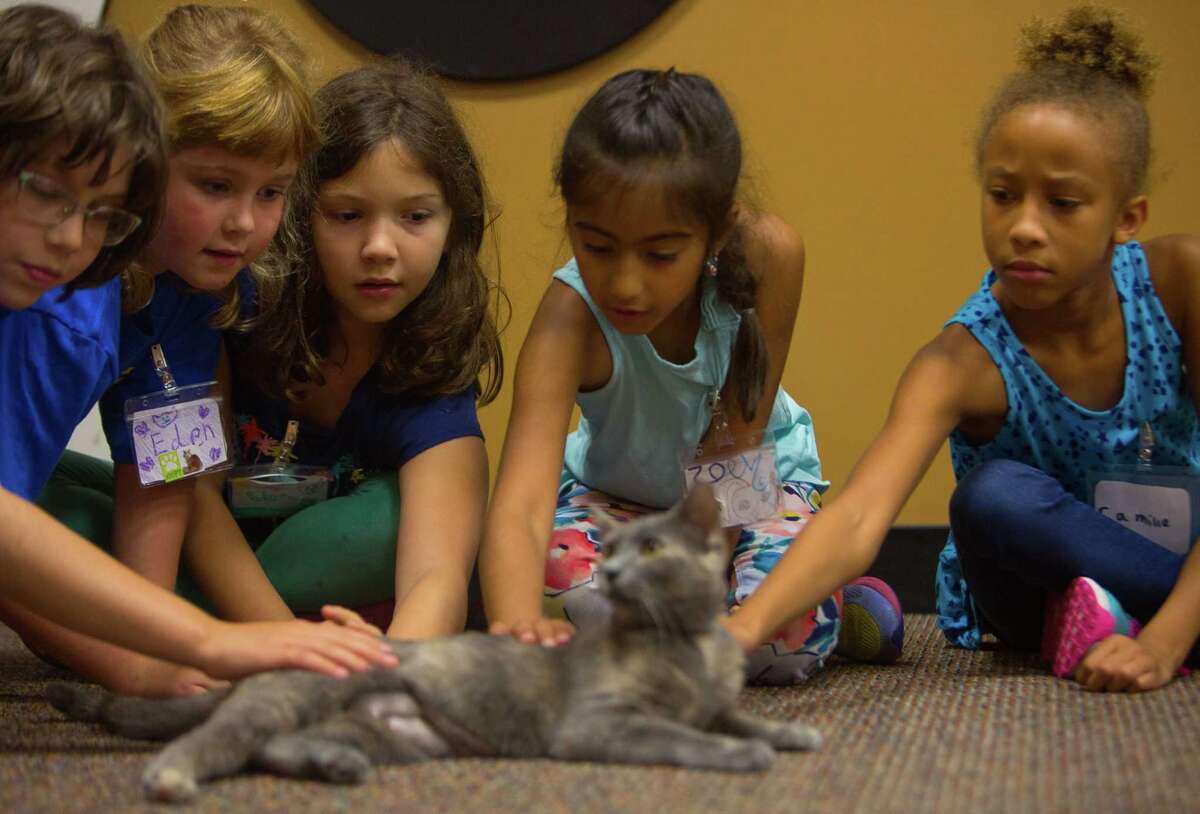 Local kids learn about rescued animals during the Houston SPCA Critter Camp