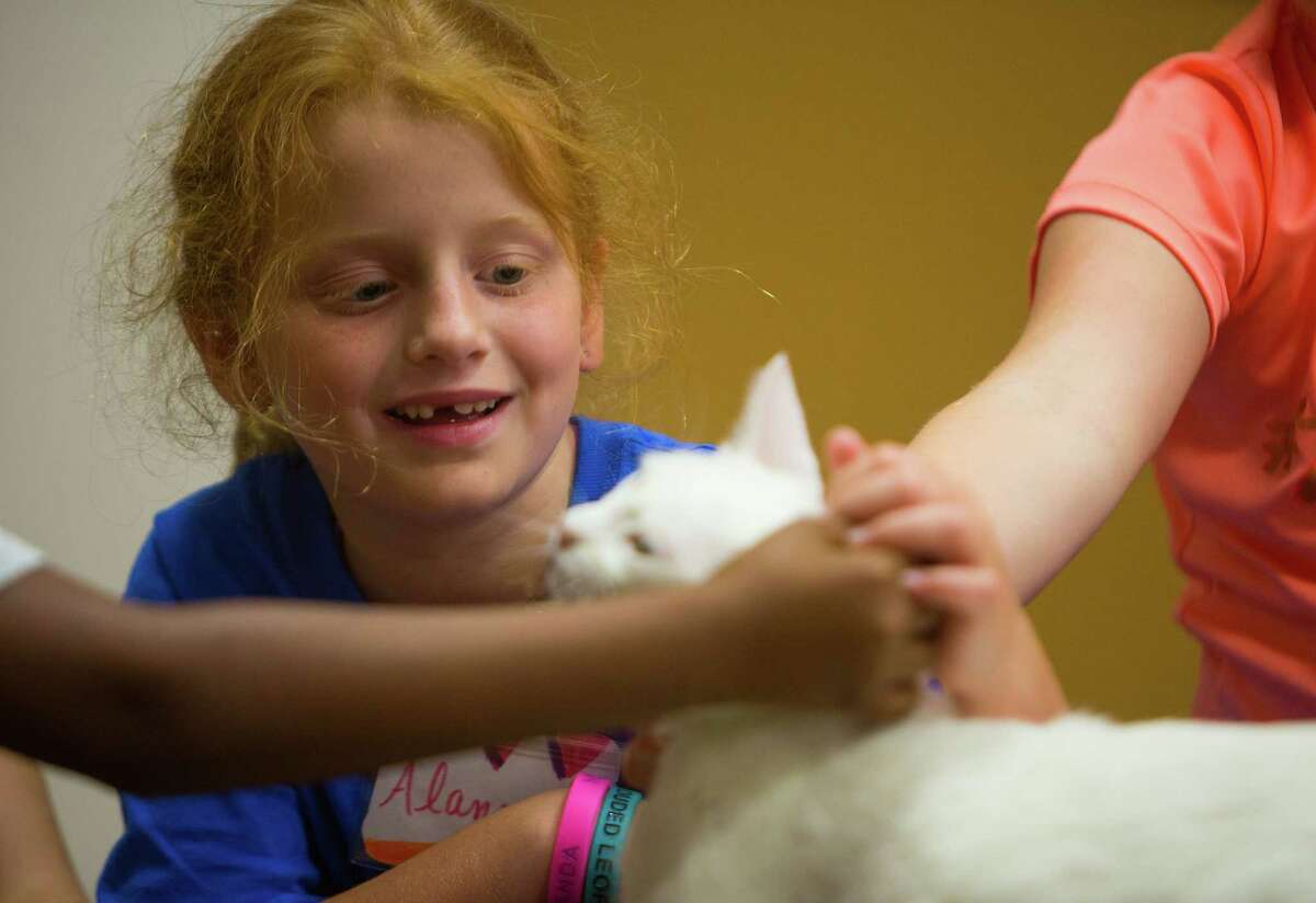 Houston SPCA Hosts Critter Camp houston-spca-hosts-critter-camp