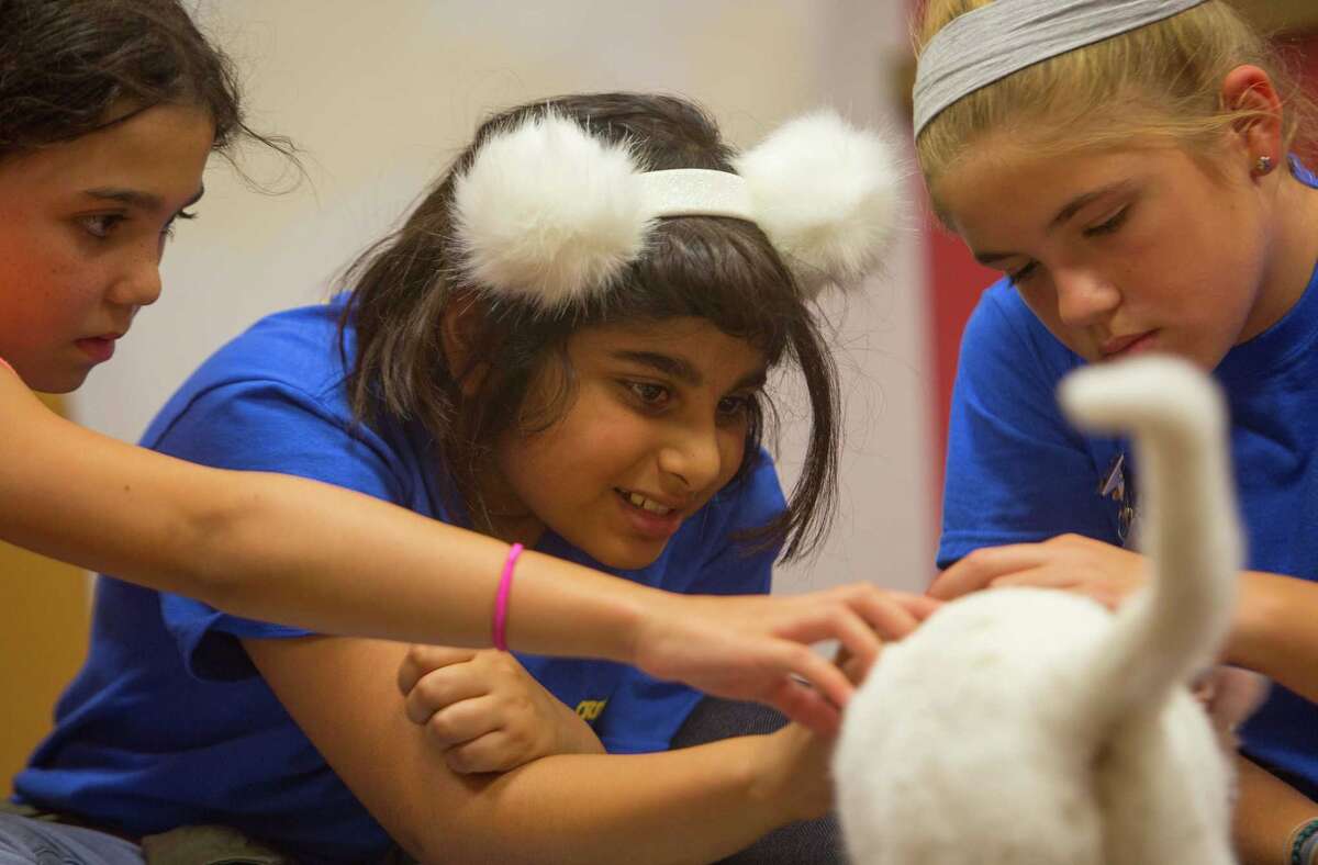 Local kids learn about rescued animals during the Houston SPCA Critter Camp