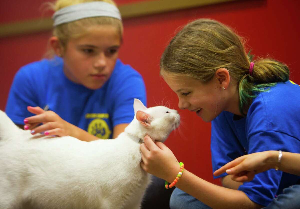 Local kids learn about rescued animals during the Houston SPCA Critter Camp