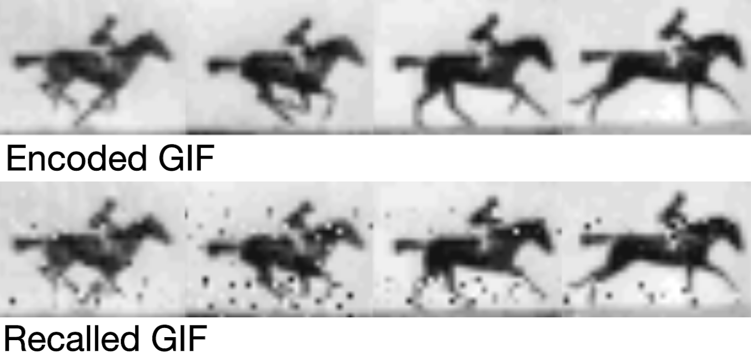 Mad scientists at Harvard encode GIF into bacteria DNA