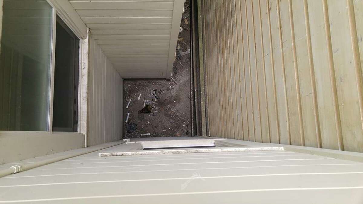 SF man catches, releases hawk stuck outside his apartment ... without a ...