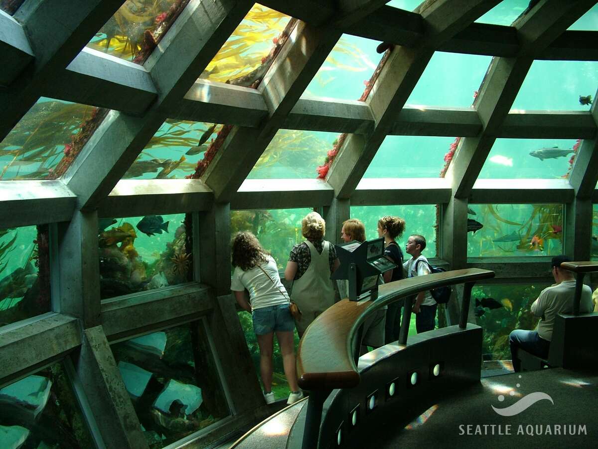 Big aquarium expansion to boost capacity, transform waterfront