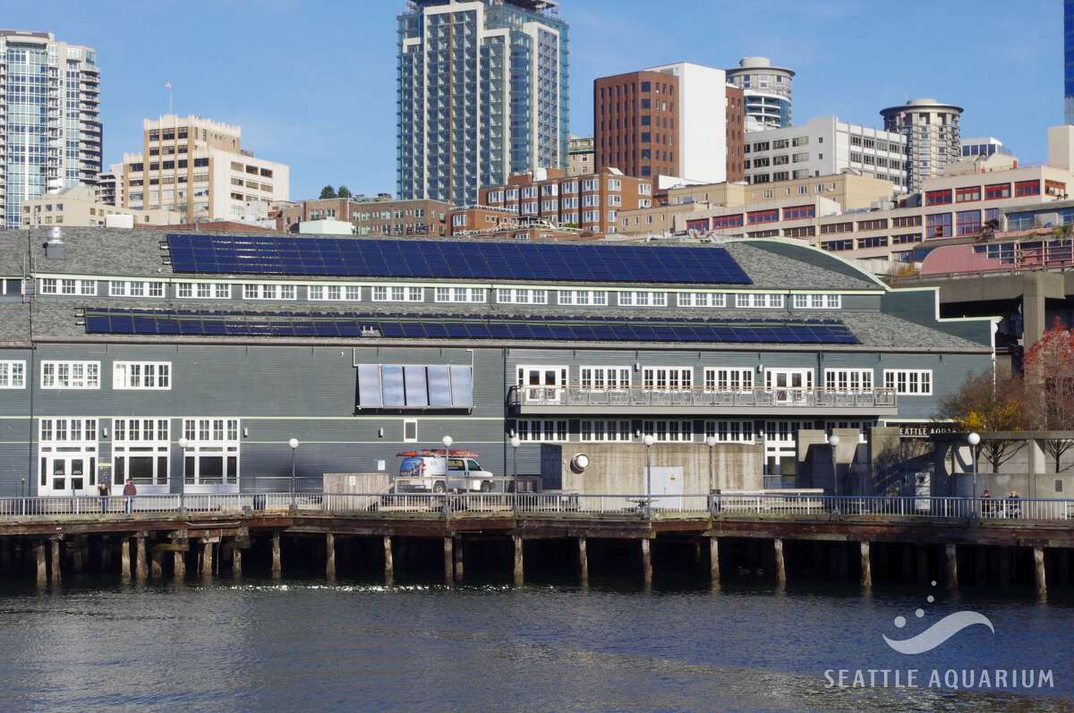 Big aquarium expansion to boost capacity, transform waterfront