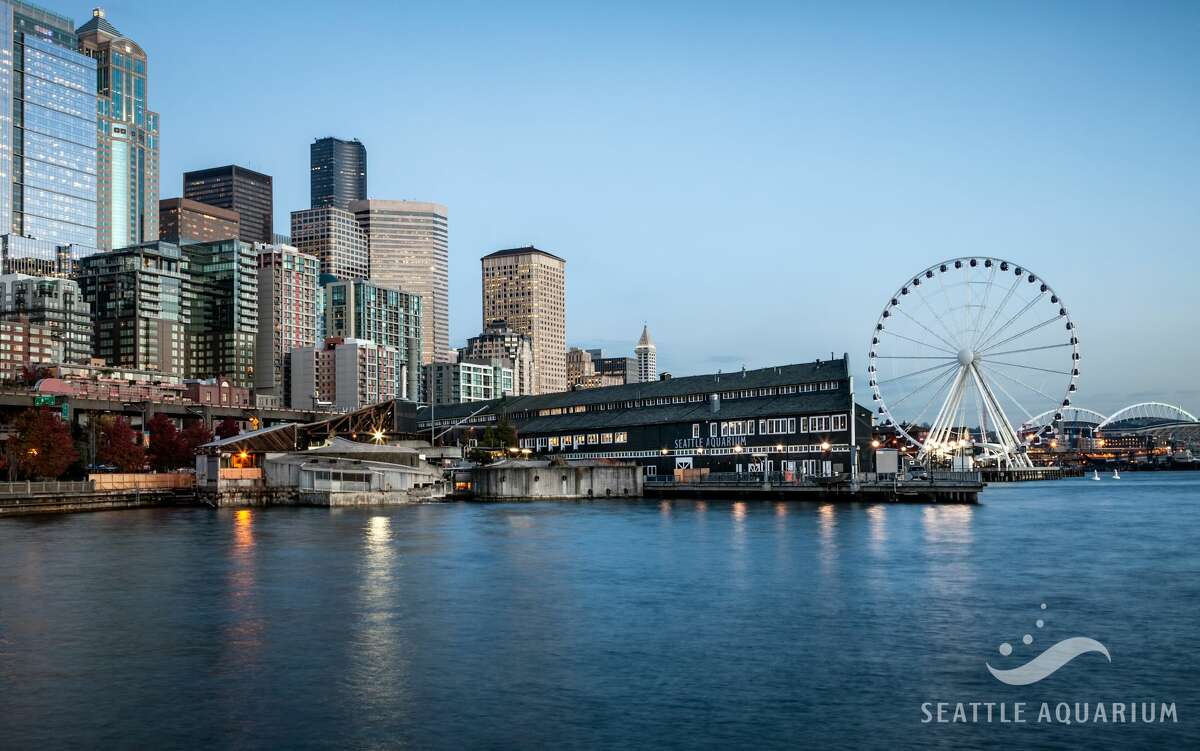 Big aquarium expansion to boost capacity, transform waterfront