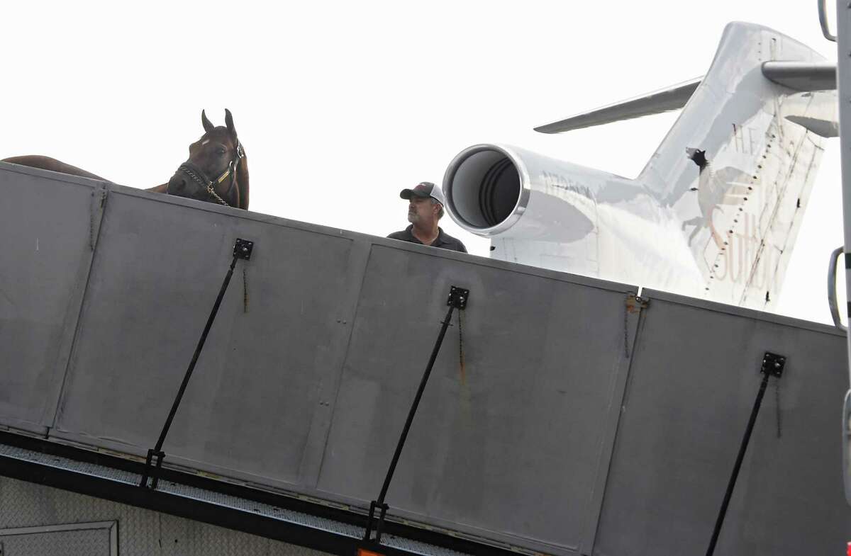 Photos: Horses arrive at airport