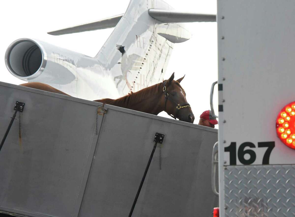Photos: Horses arrive at airport