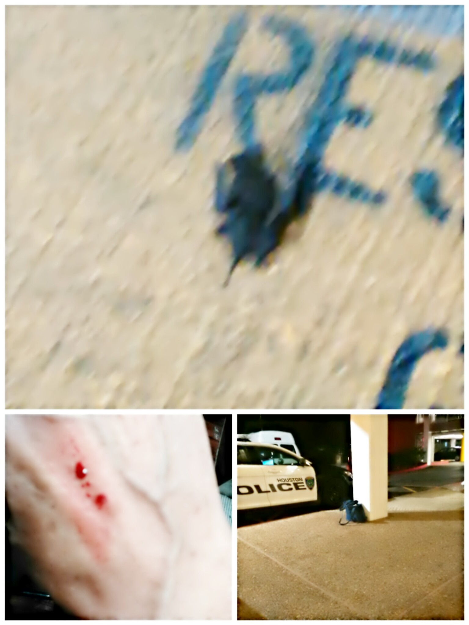 Woman says she was bitten by rabies-positive bat near Houston's Buffalo ...