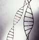 UCSF researchers prove genetics allow some people to function on less ...