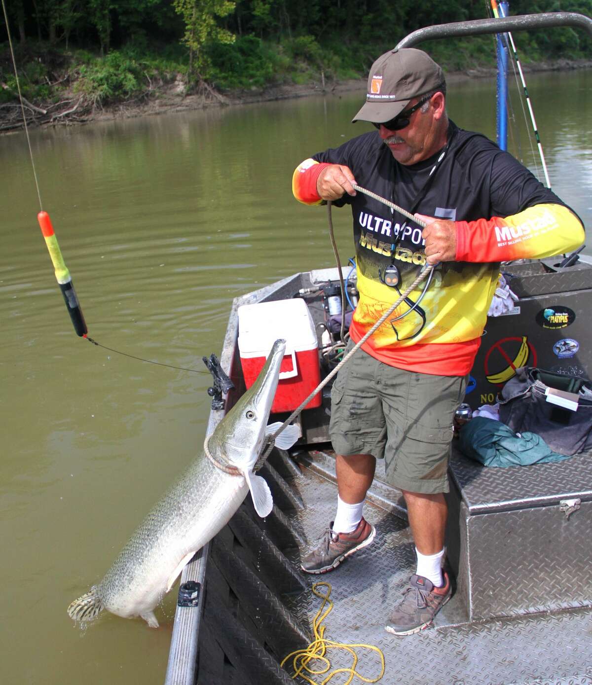 Alligator gar are Texas angling's rising star