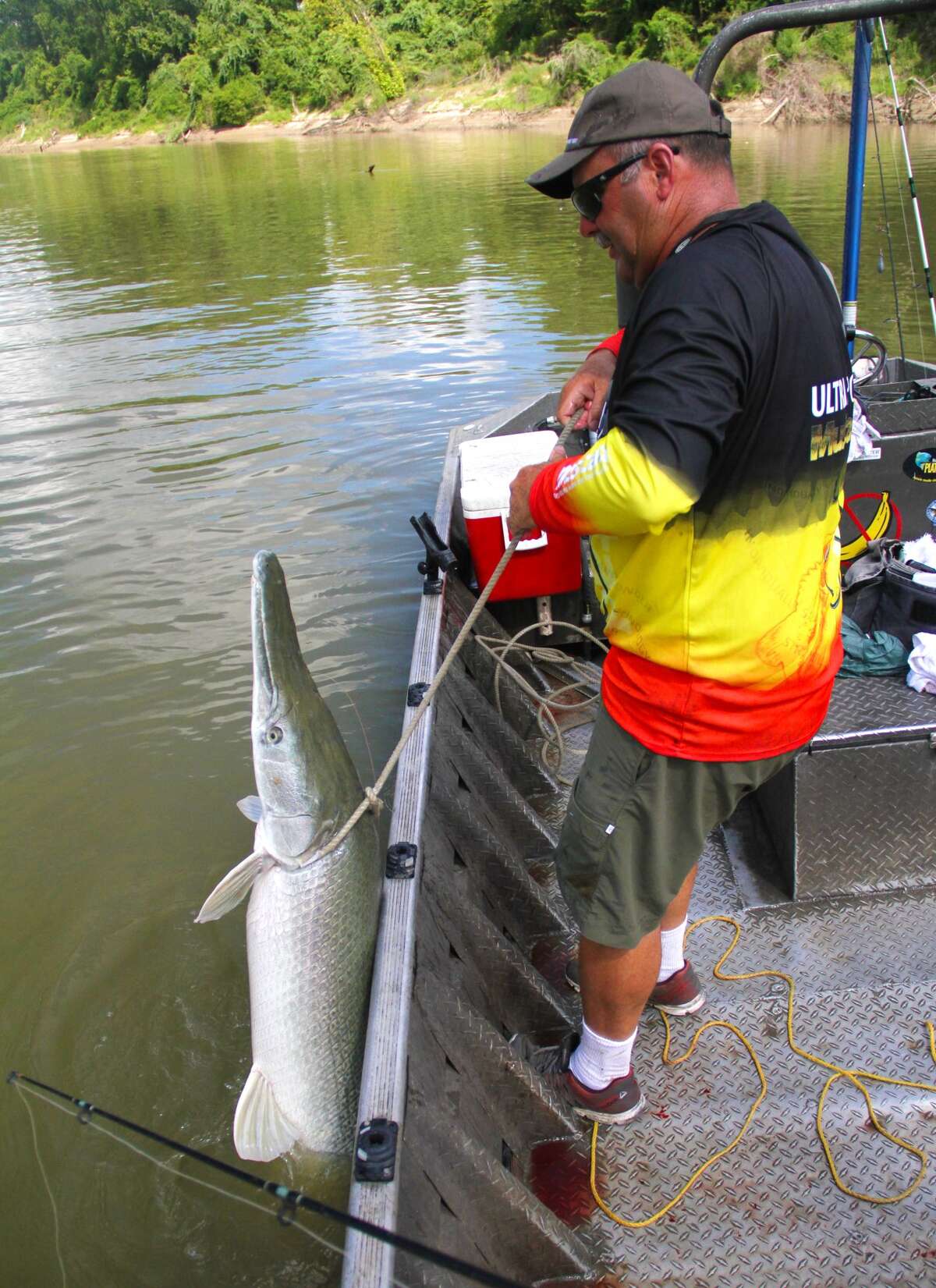 Alligator gar are Texas angling's rising star