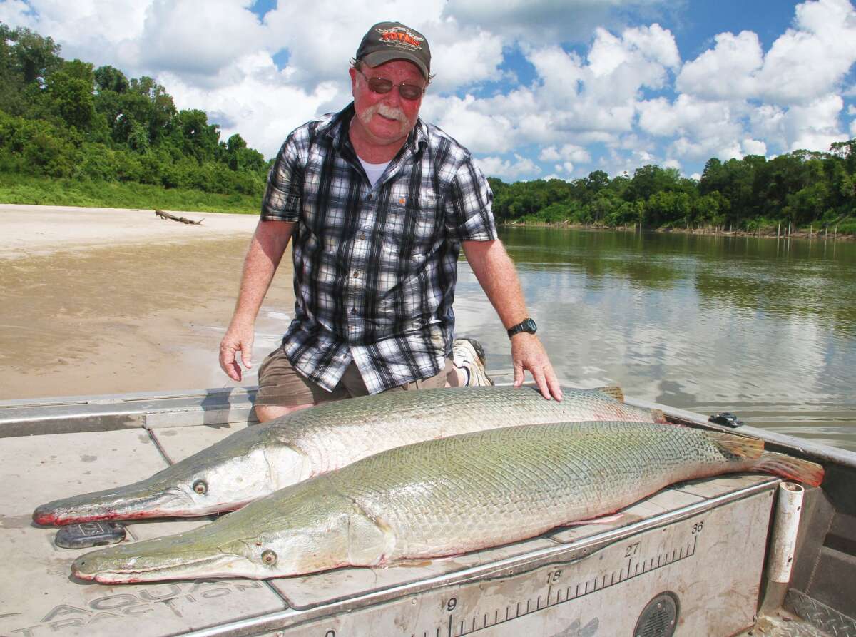 Alligator gar are Texas angling's rising star