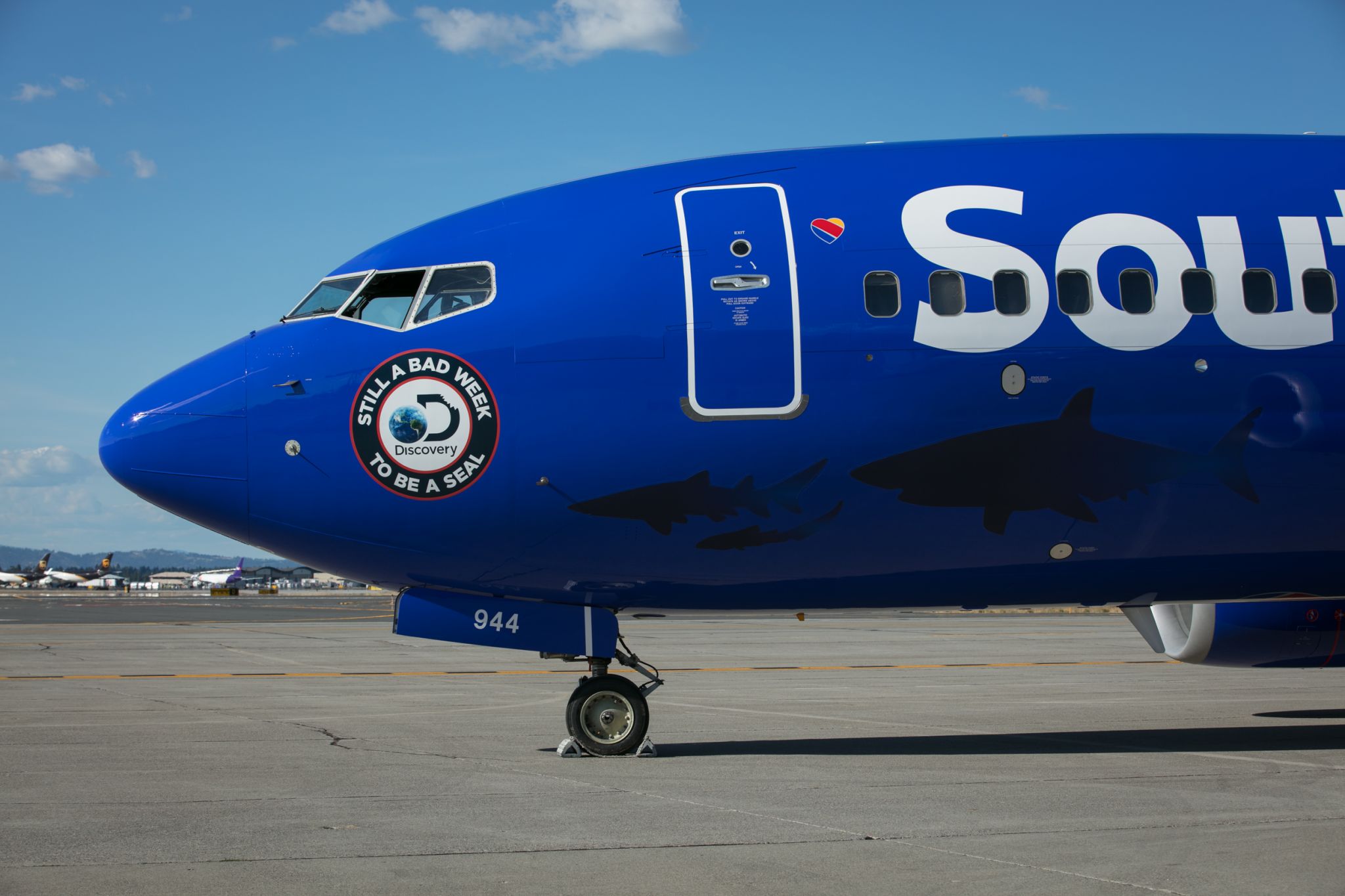 Southwest bringing Shark Week-themed plane to Houston