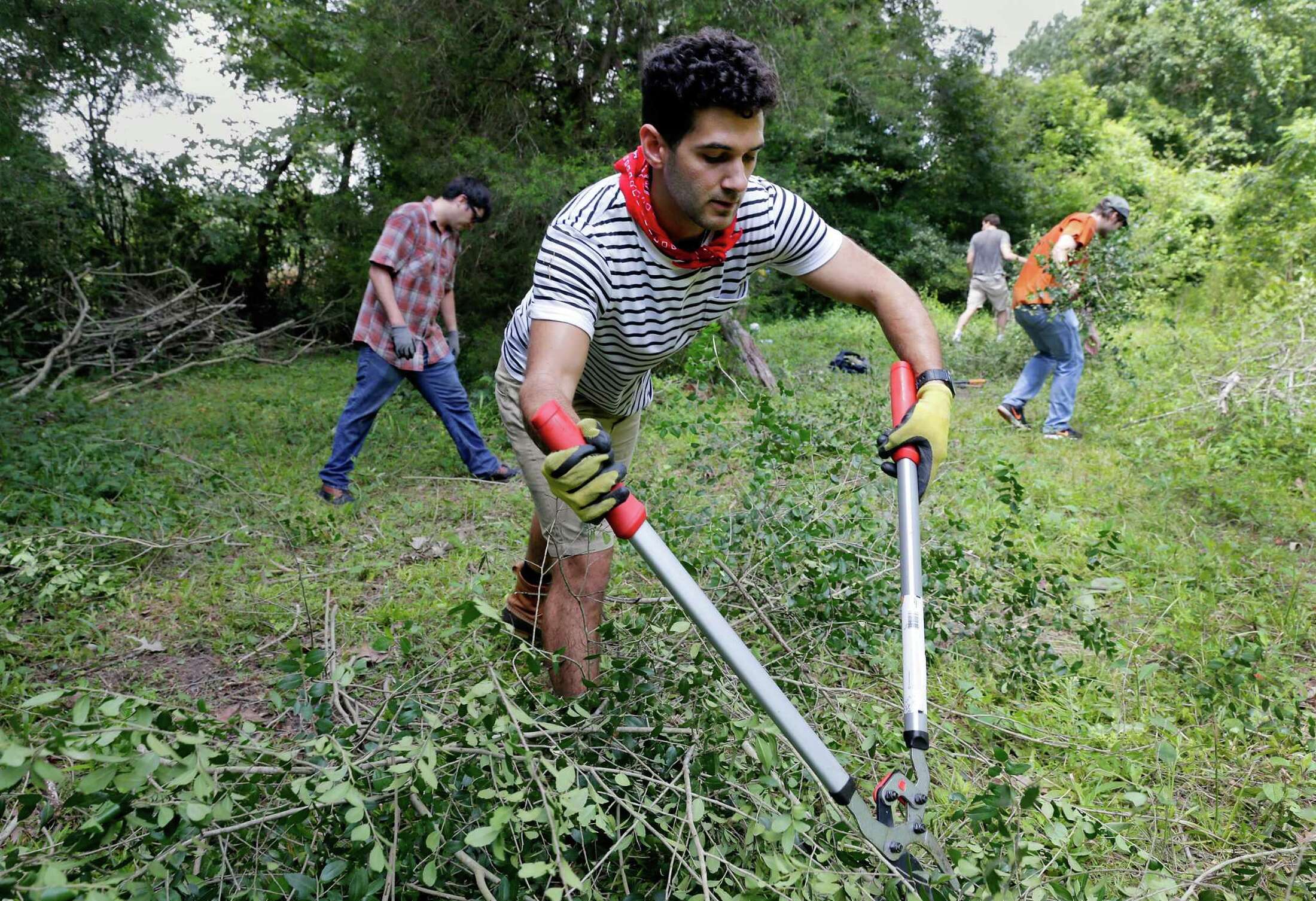 Rediscovered: the original Texas tea
