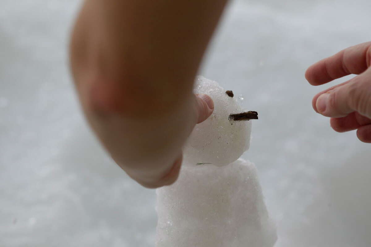 Houston Zoo's rare summer attraction draws big crowds