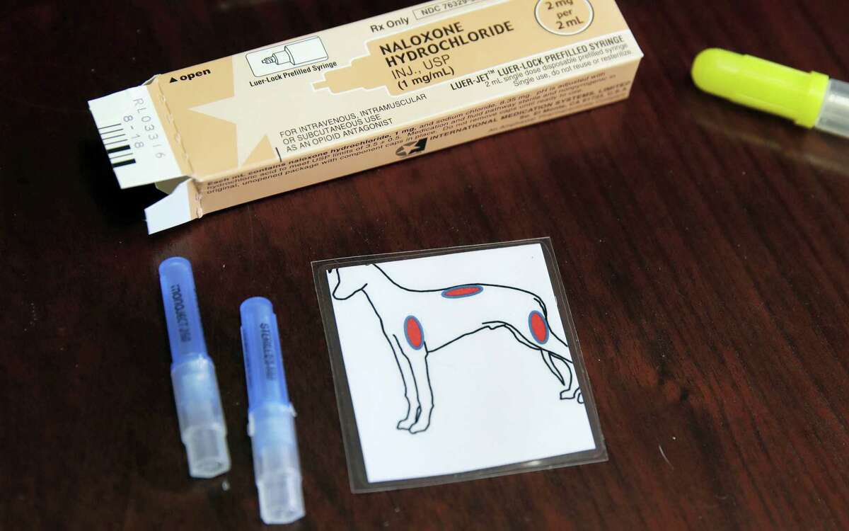 PHOTOS: Kits protect dogs from ODs