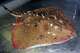 Thorny skate fish will not be added to endangered species list
