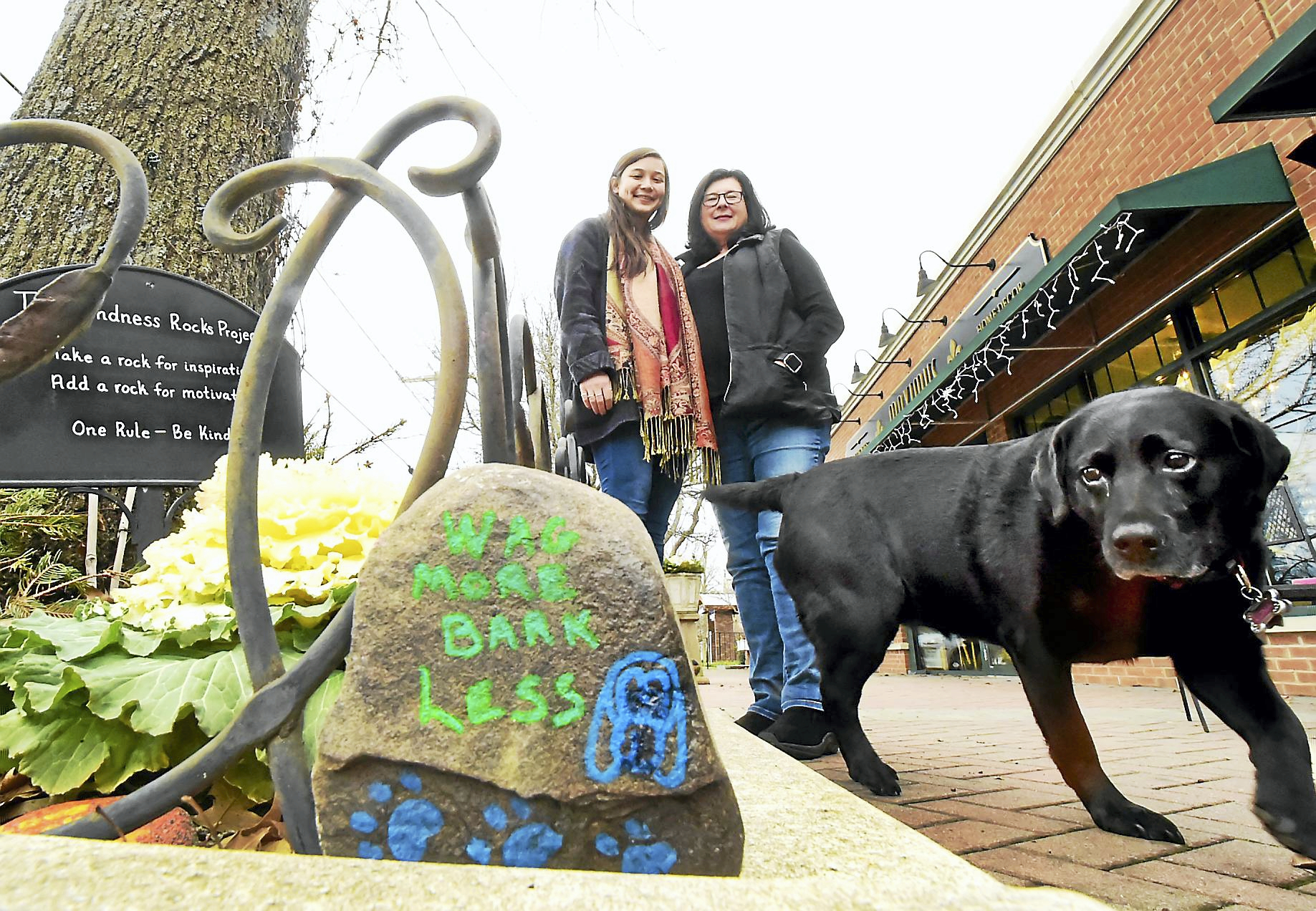 Kindness rocks: Inspiring hand-painted rocks hidden on the Connecticut ...
