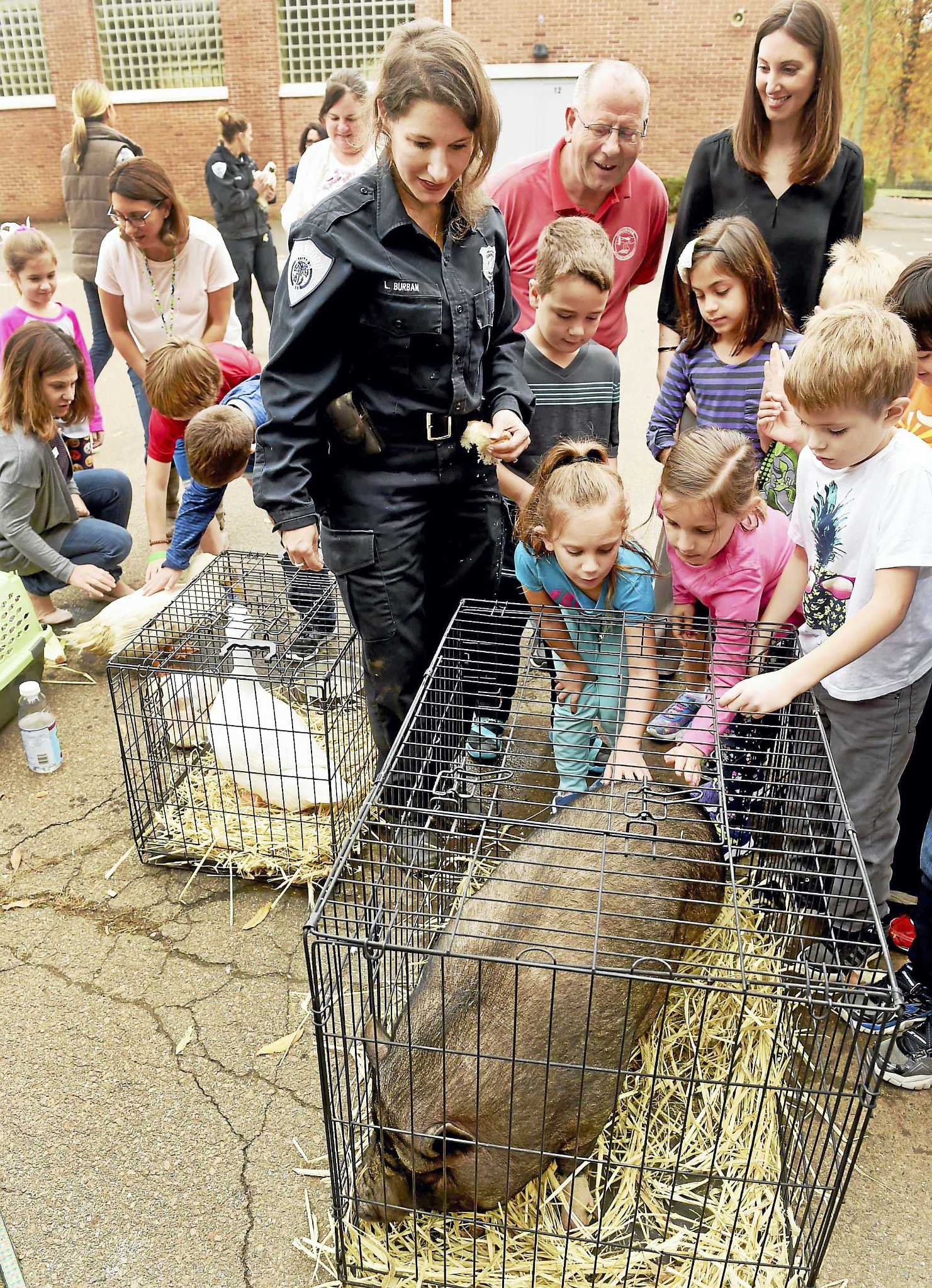 Branford animal shelter does outreach and advocacy along with adoptions
