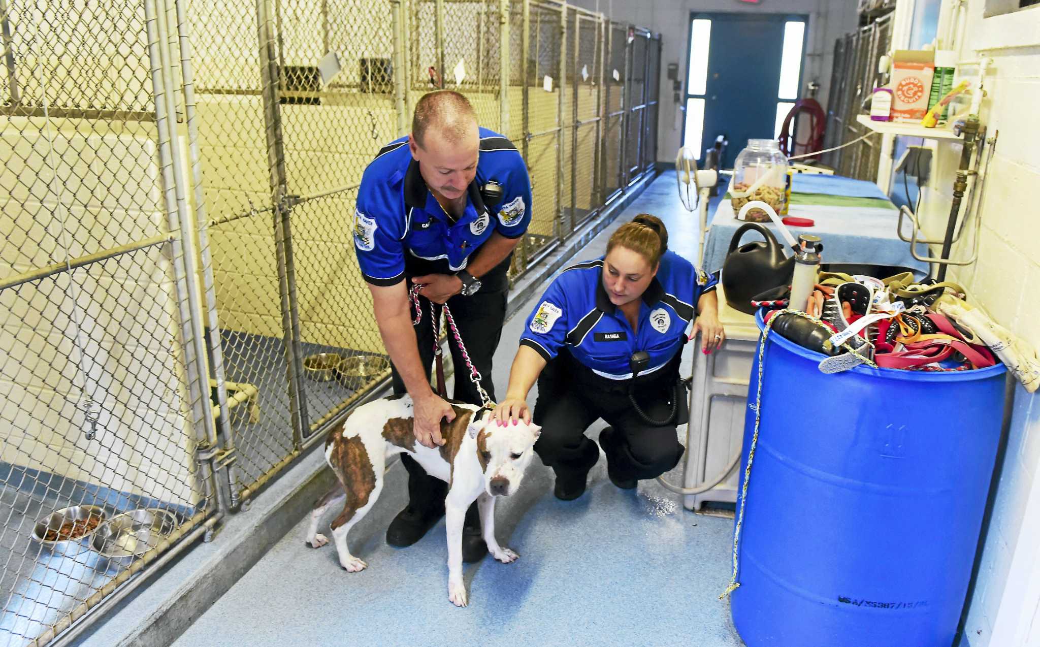 Hamden, North Haven working together on animal shelter proposal