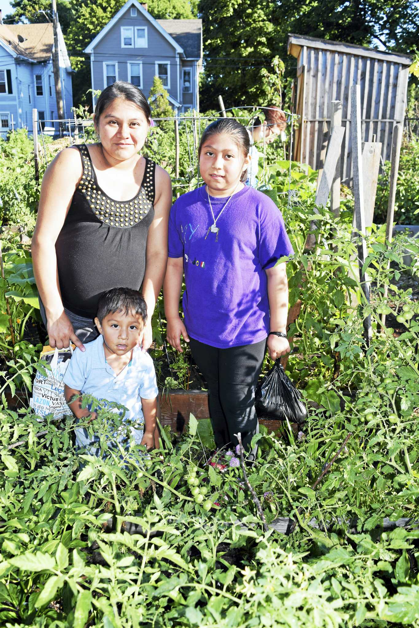 Incubator garden run by New Haven Farms fills a need