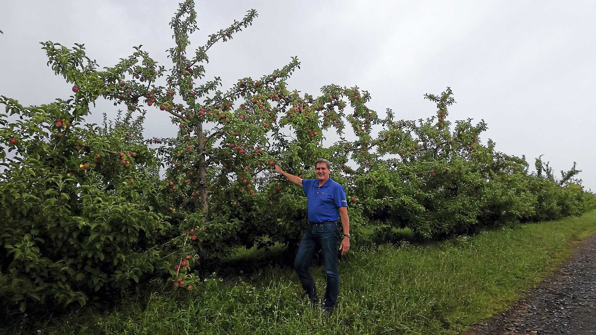 Lyman Orchards celebrates 275 years of pies, pumpkins and family fun