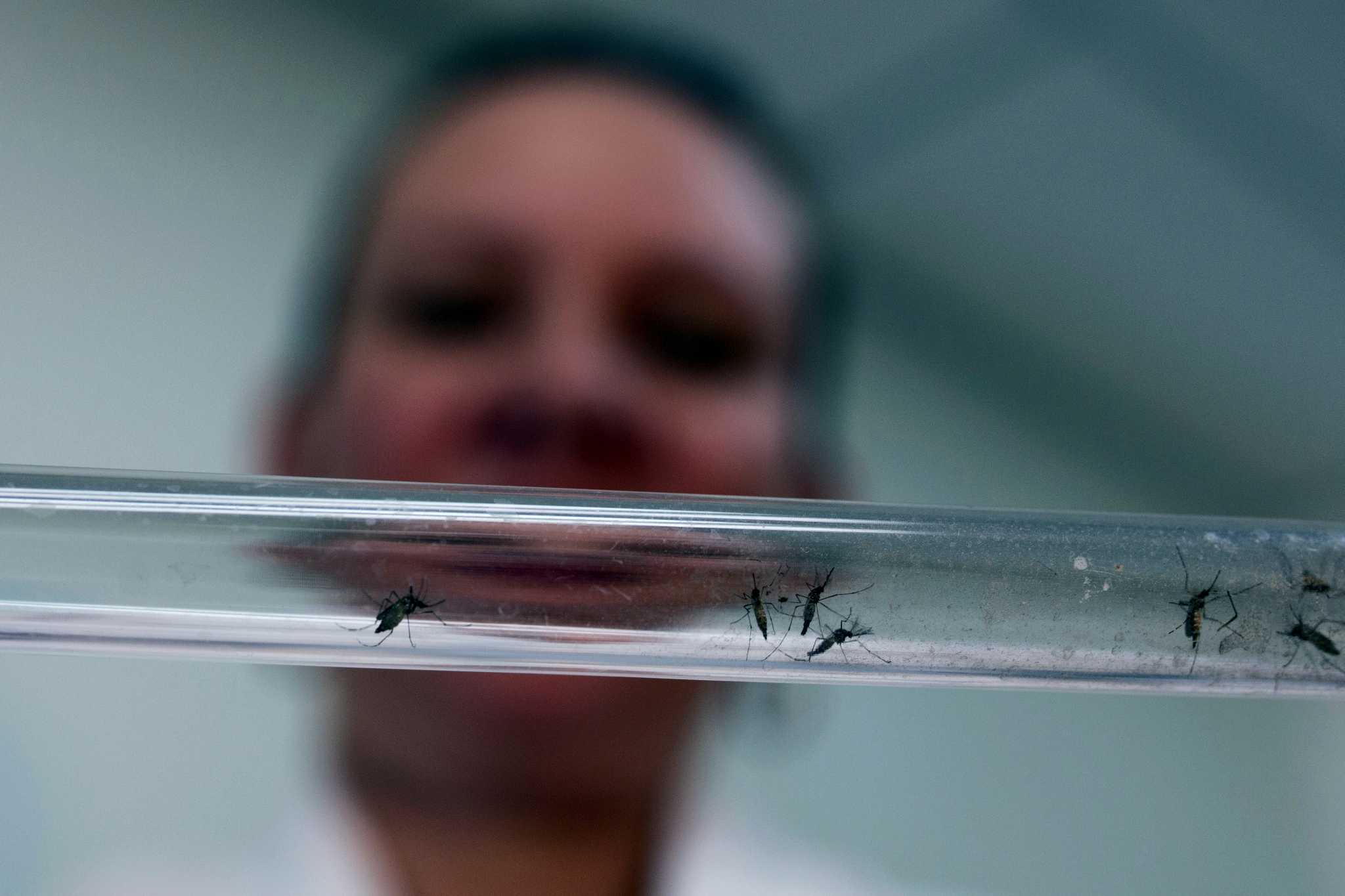 Zika awareness campaign unveiled at Bradley International
