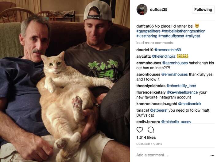 Giants fans mourn loss of a big, beloved cat named Skeeter