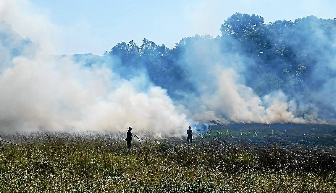 Firefighters extinguish Hamden brush fire