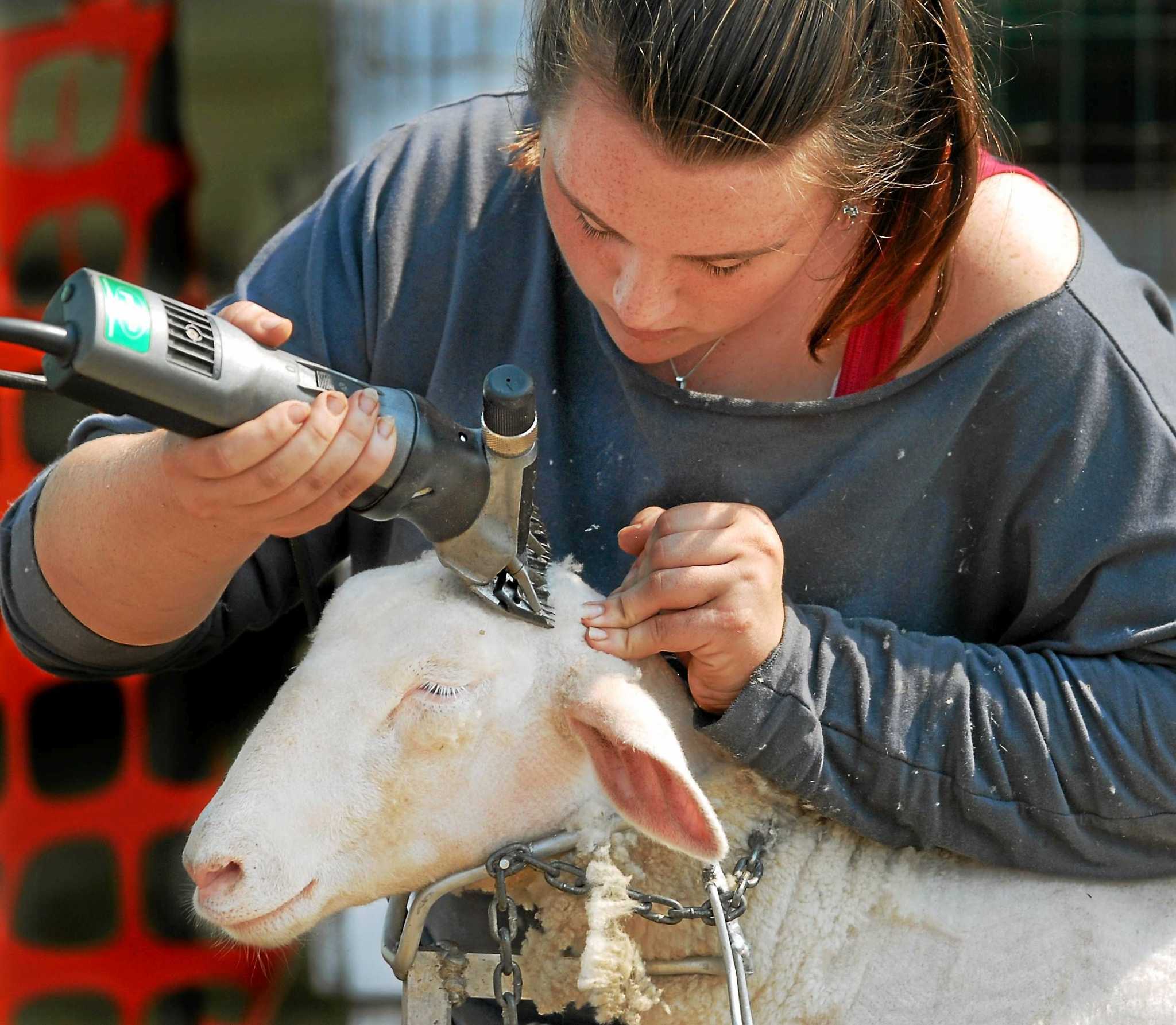 73rd edition of the North Haven Fair opens Thursday night