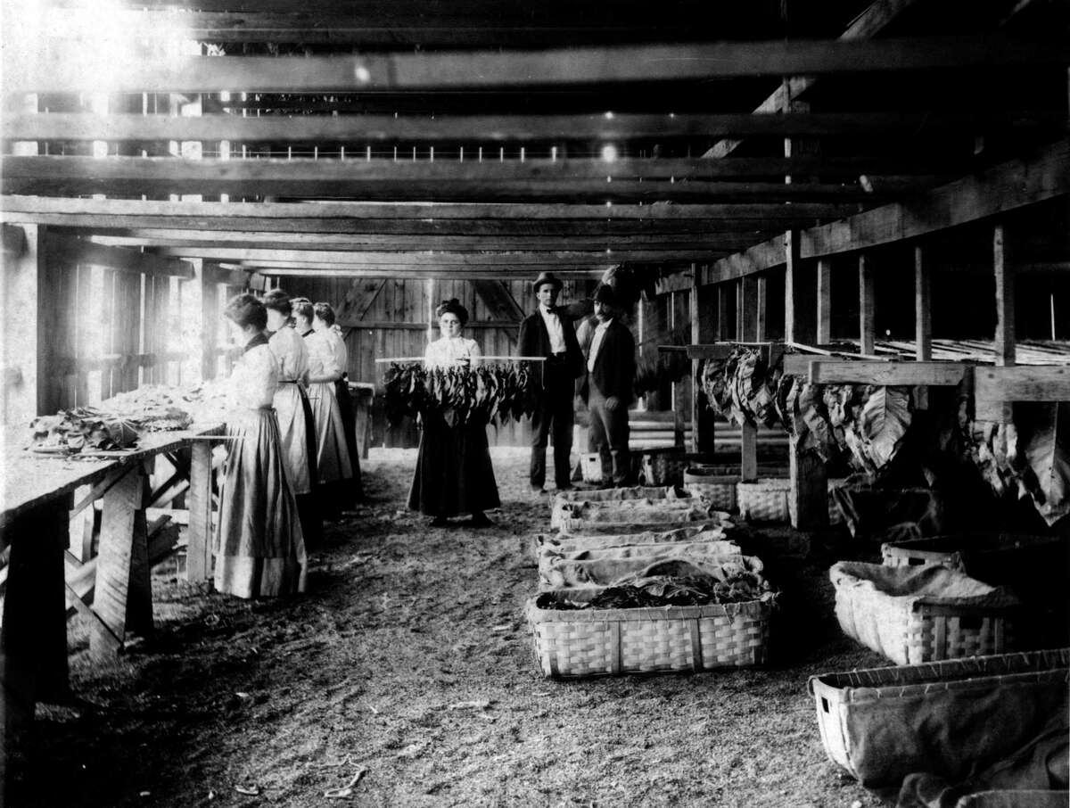 Anthony Riccio speaks of Italian-American women at New Haven Museum