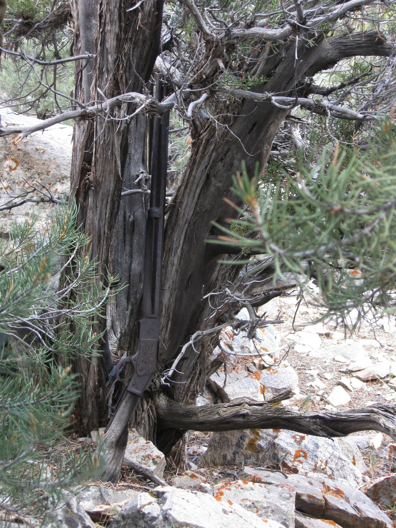 1882 Winchester rifle found leaning on tree in Nevada mountains