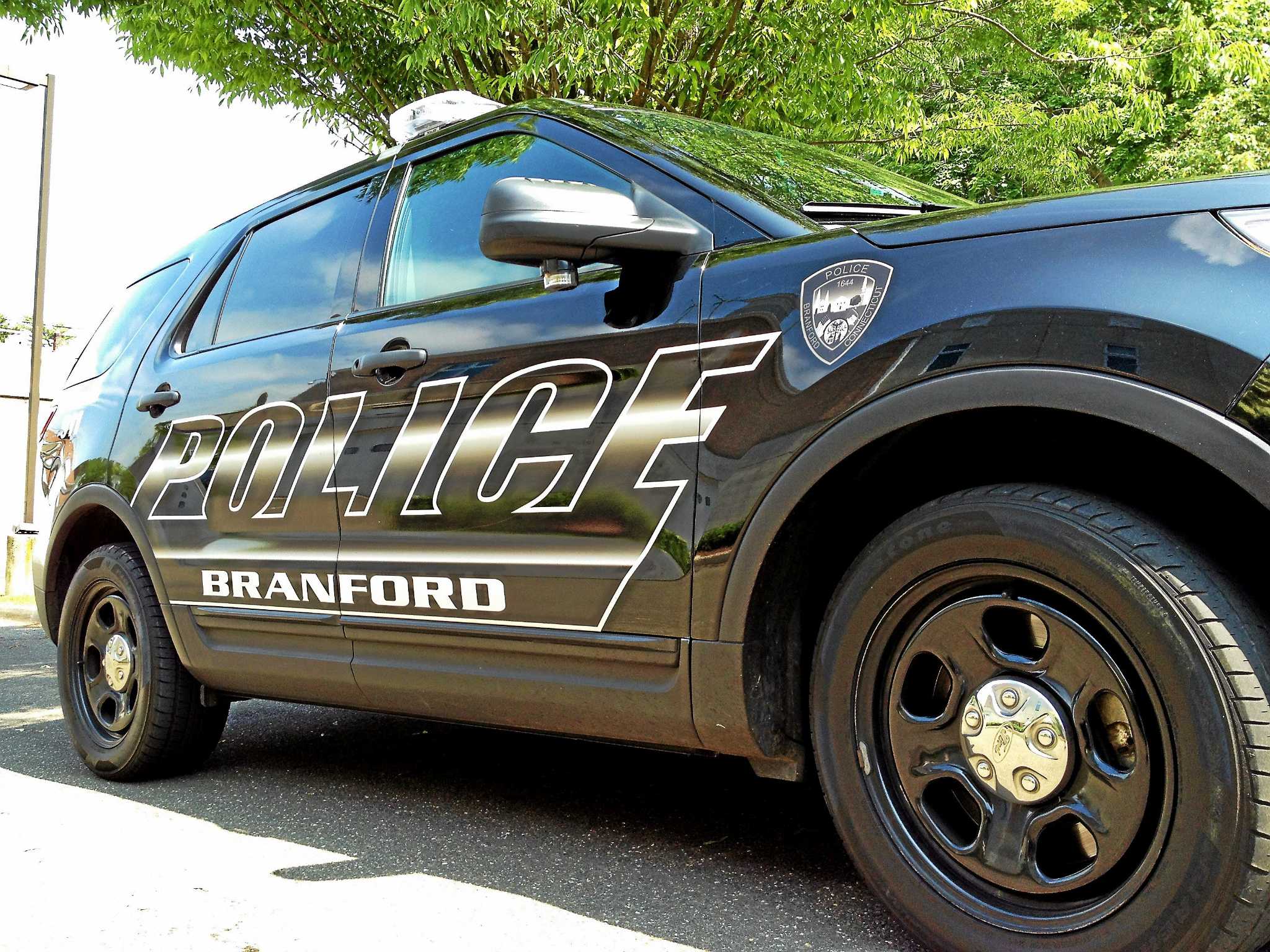 Branford police seeks new recruits, hopes to attract minorities ...