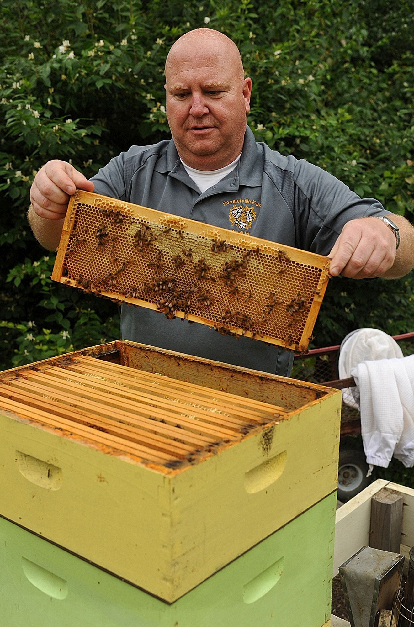 Connecticut ‘bee whisperer’ seeks to save honeybees