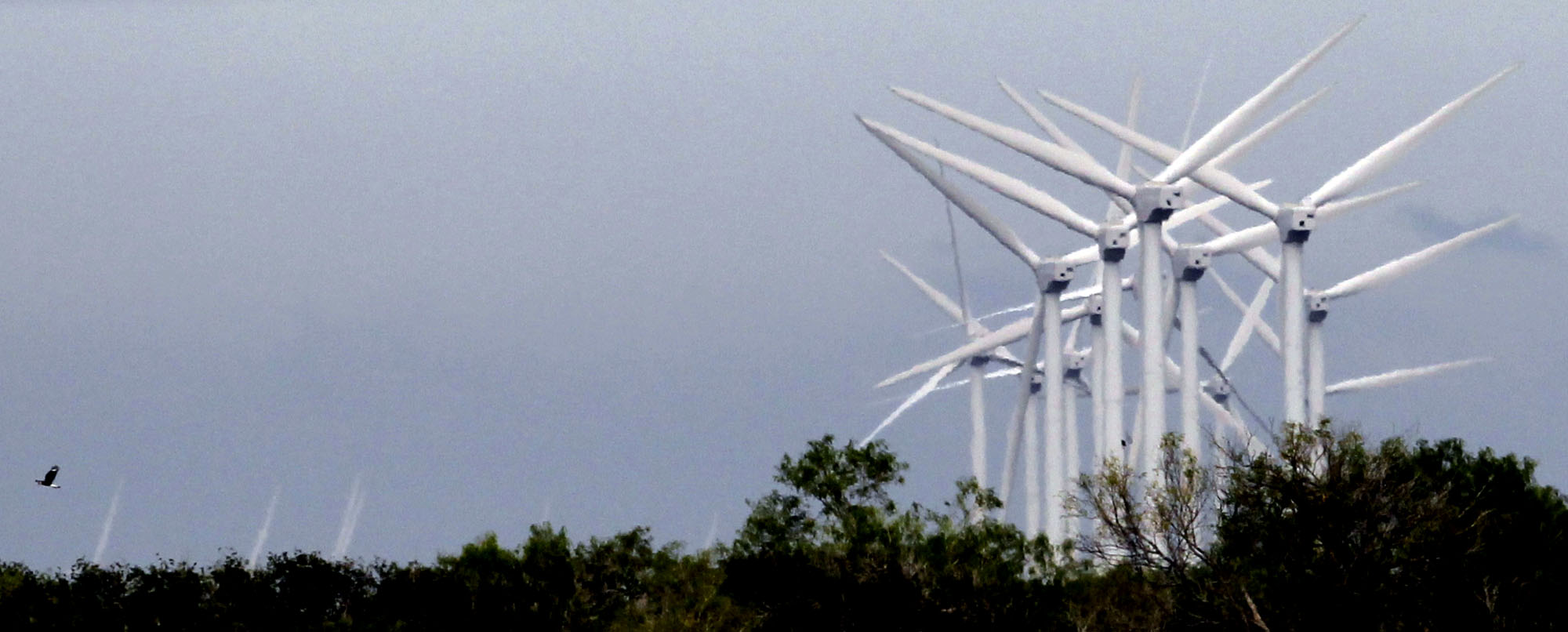 Sea change: Gulf Coast wind farms become vital to Texas energy mix
