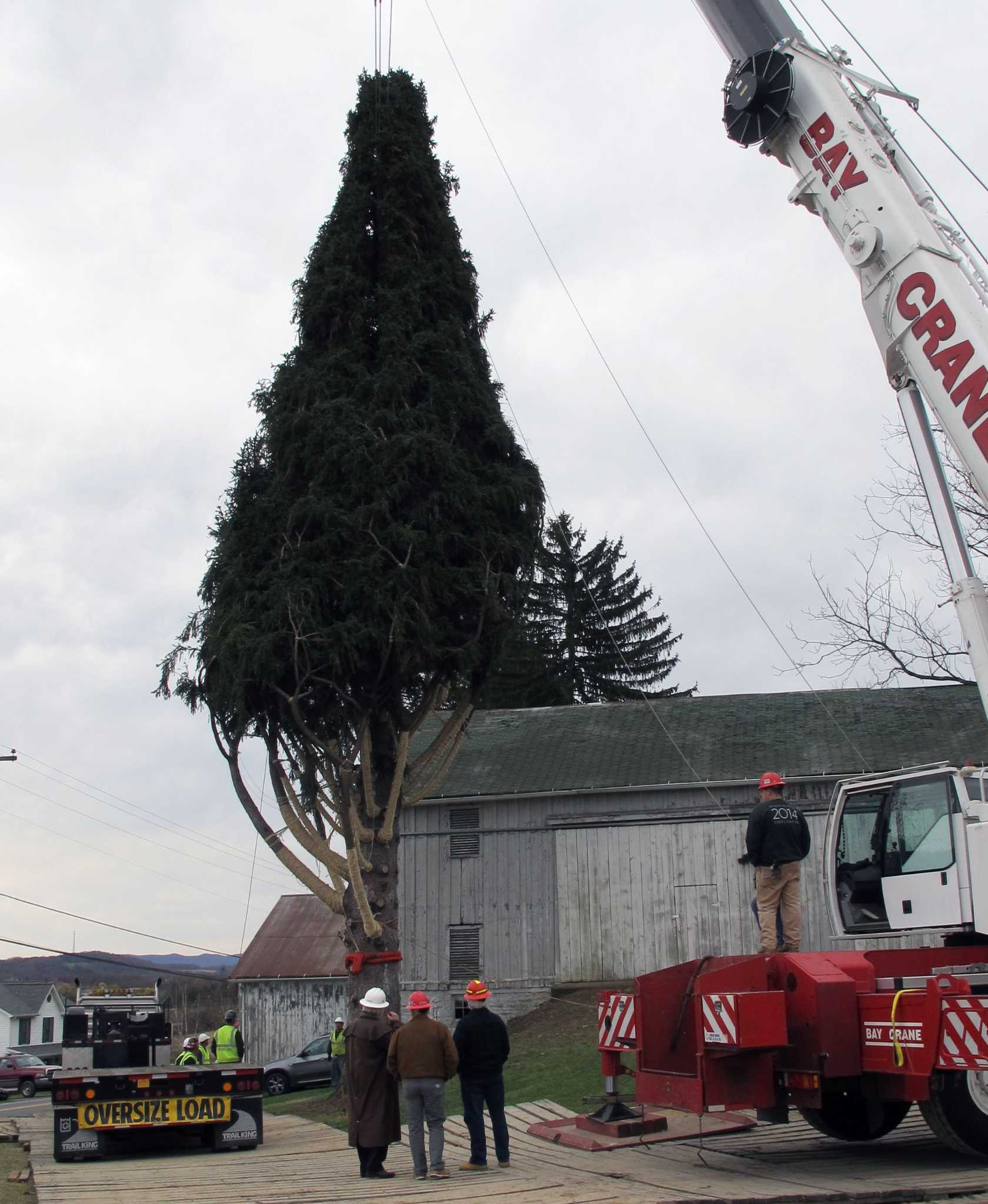 Pennsylvania ‘Christmas elves’ supply Rockefeller Center tree