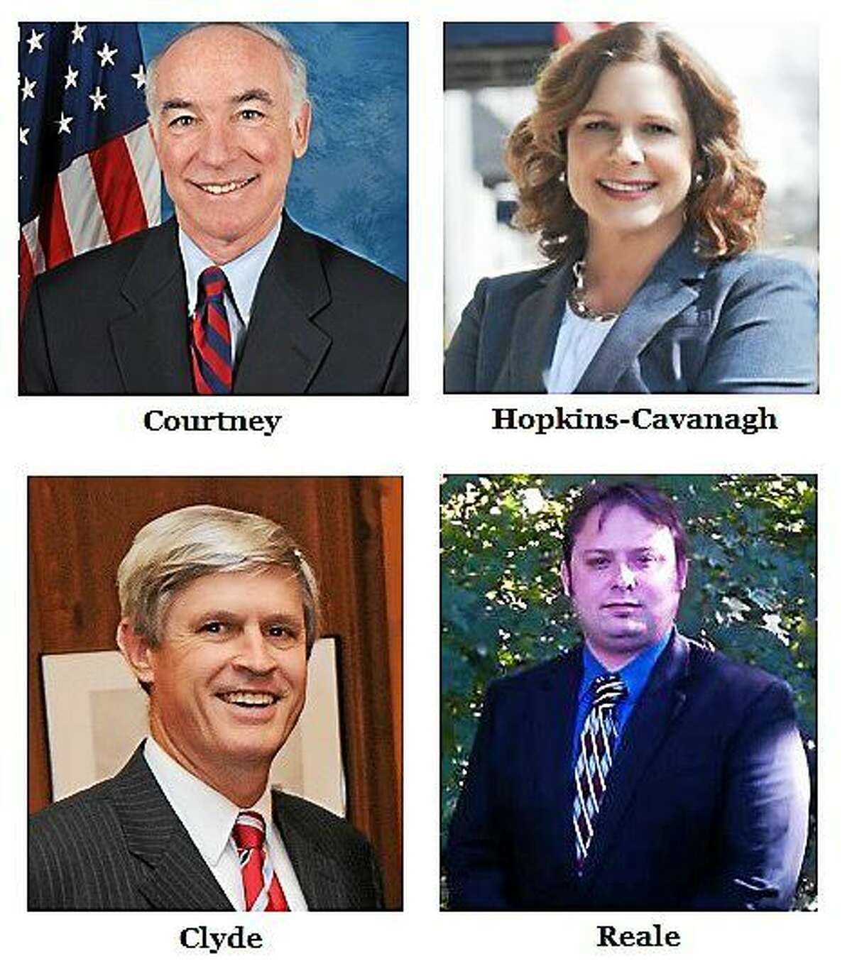 2nd District race gives voters broad array of options