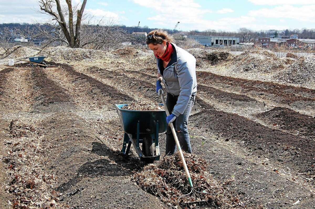 Nature calendar: spring bird walks in Hamden and Madison