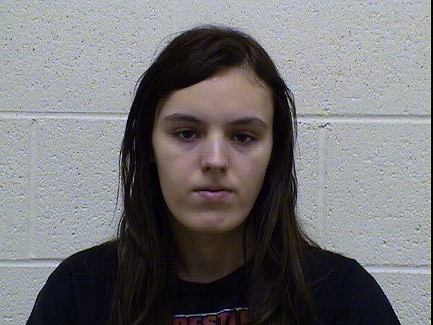 Cops: Natalie Carpenter was obsessed with Columbine, warrant details ...