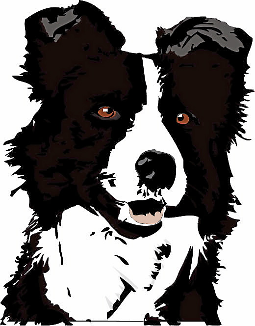 ‘Ruff’ times over for Derby, Ansonia dogs
