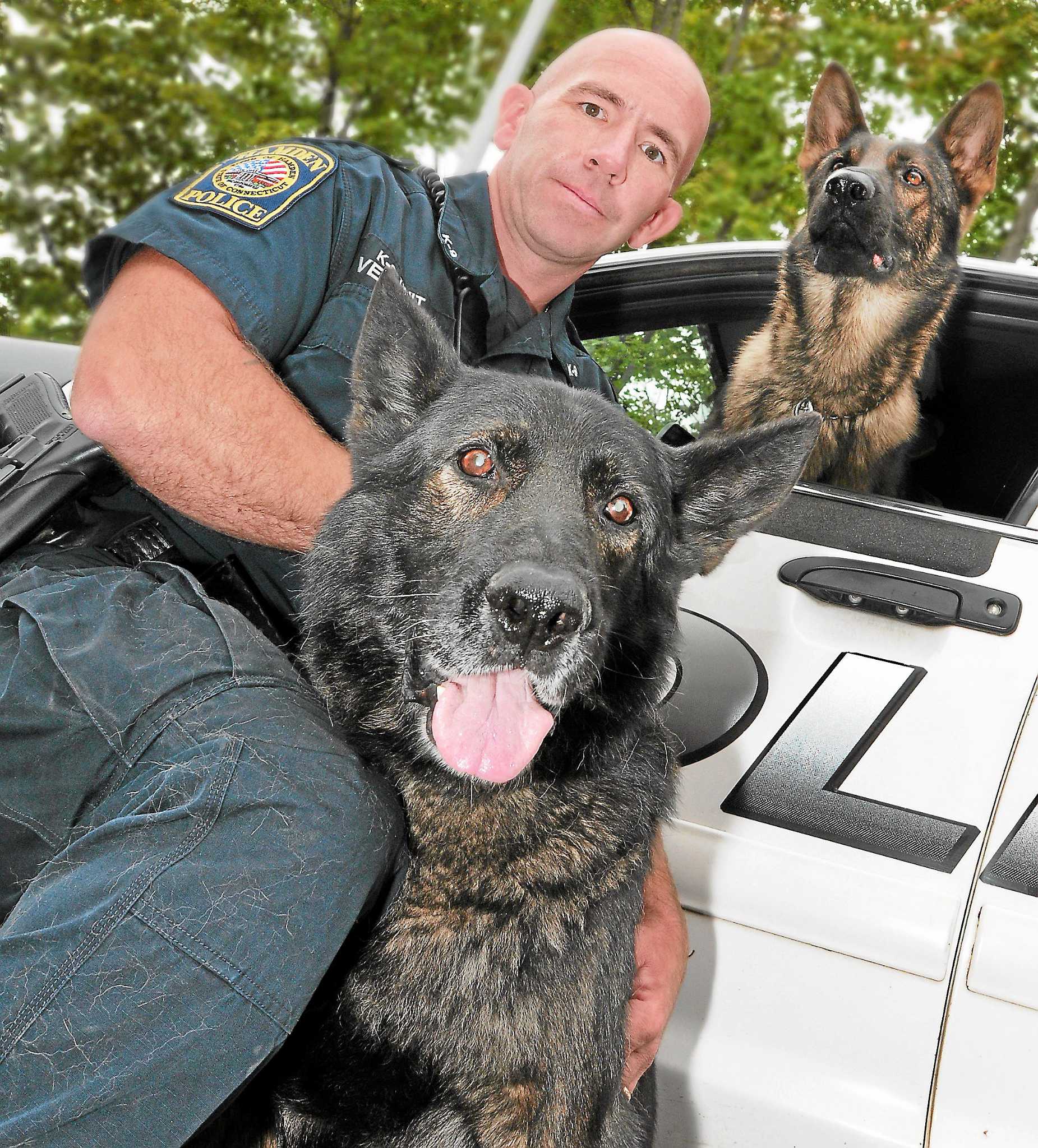 10 years later, ‘all star’ Hamden police dog is ill, retires