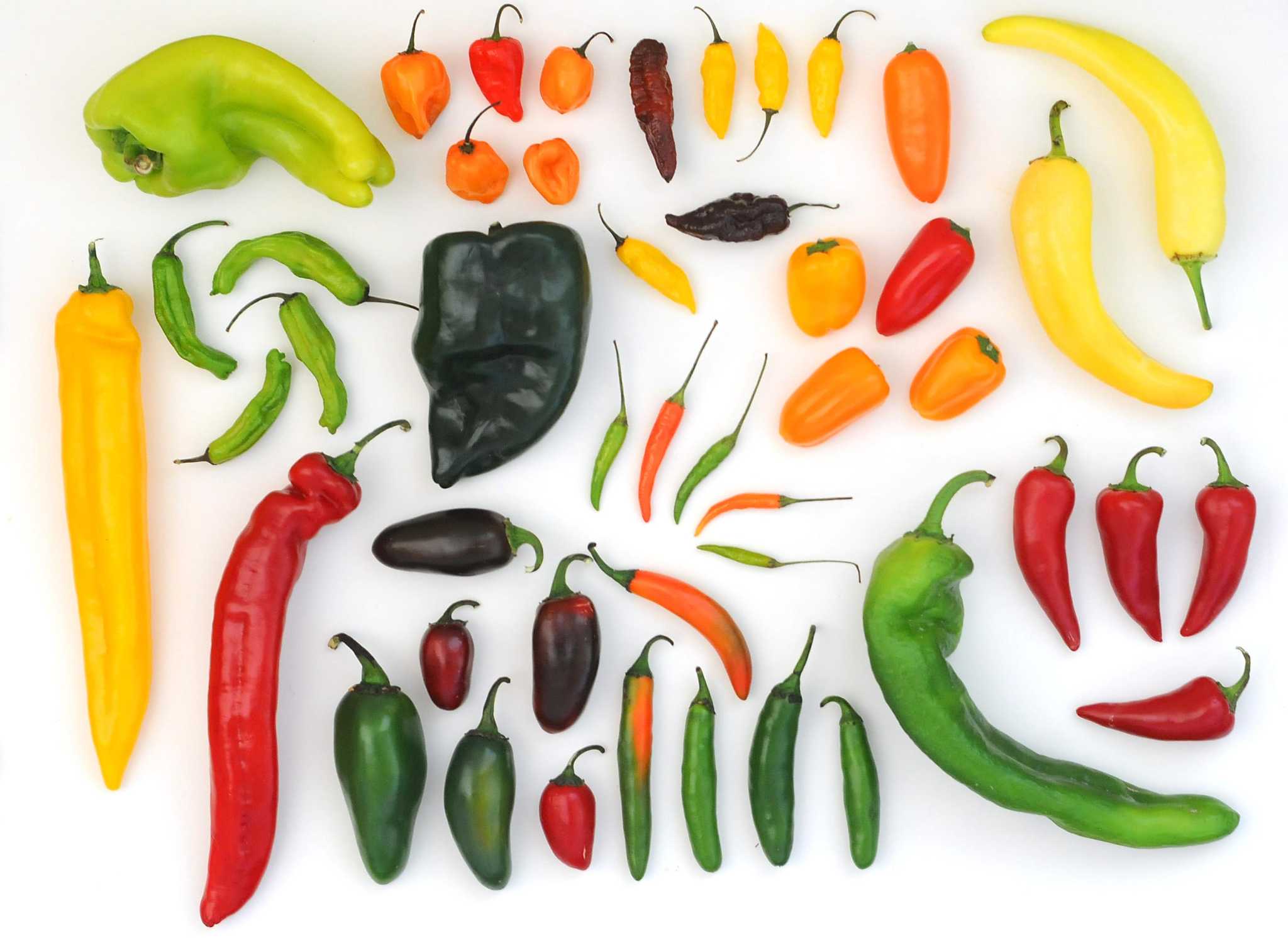 Beyond salsa: How to use summer’s peppers in new ways