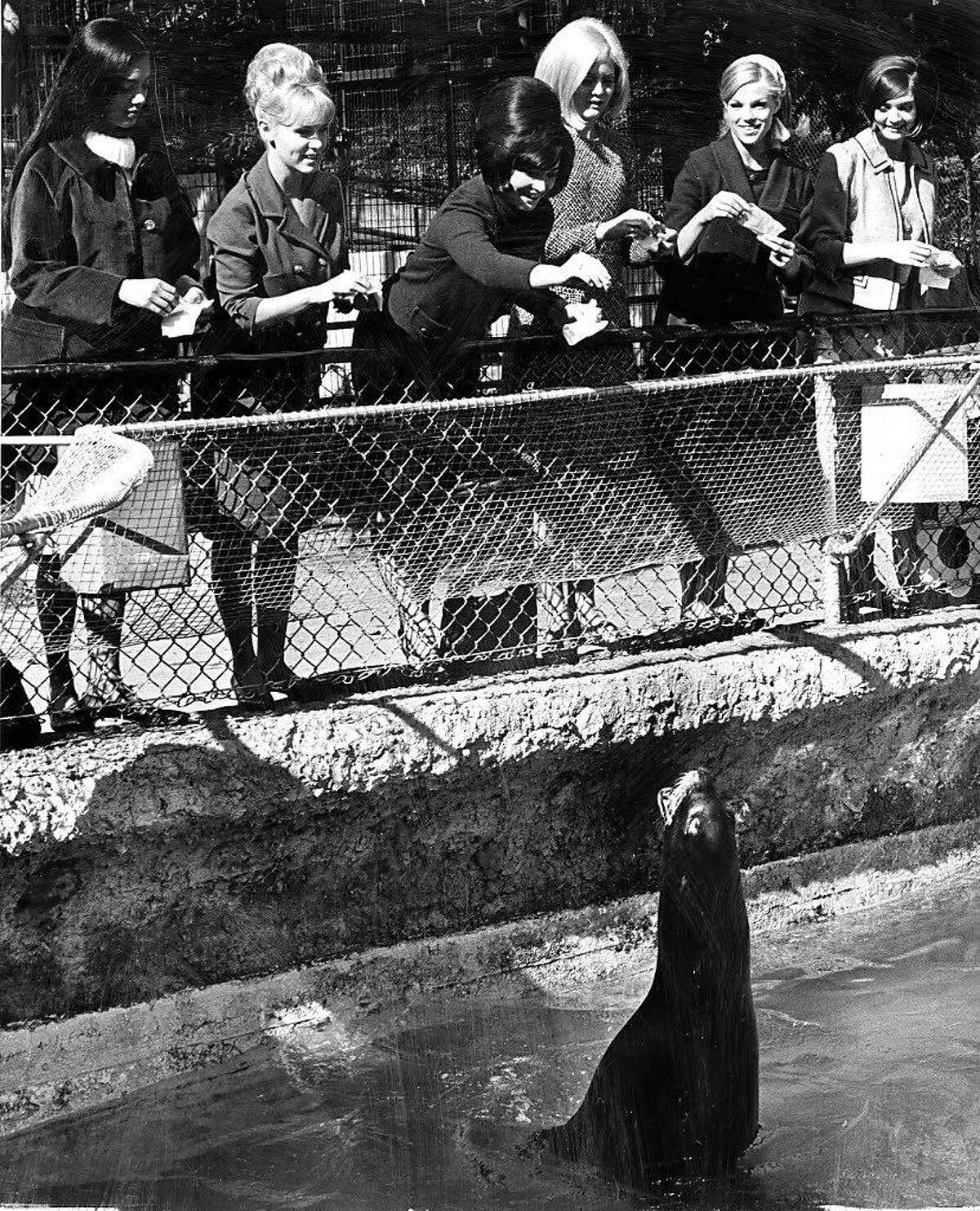 Miss White Collar, Miss Perfect Posture and other bizarre beauty ...