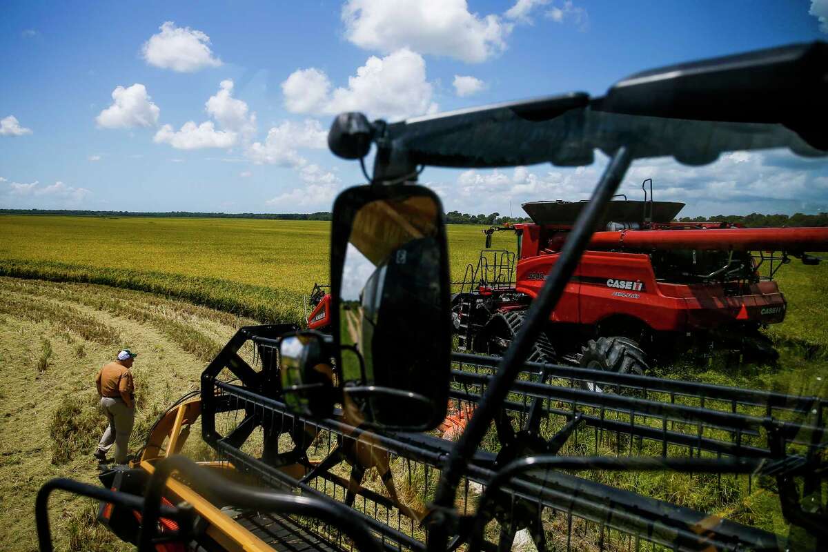 Texas rice farmers hope China deal brings more than a grain of relief
