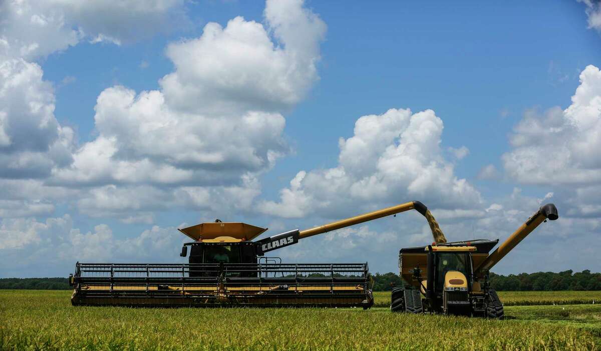 Texas rice farmers hope China deal brings more than a grain of relief