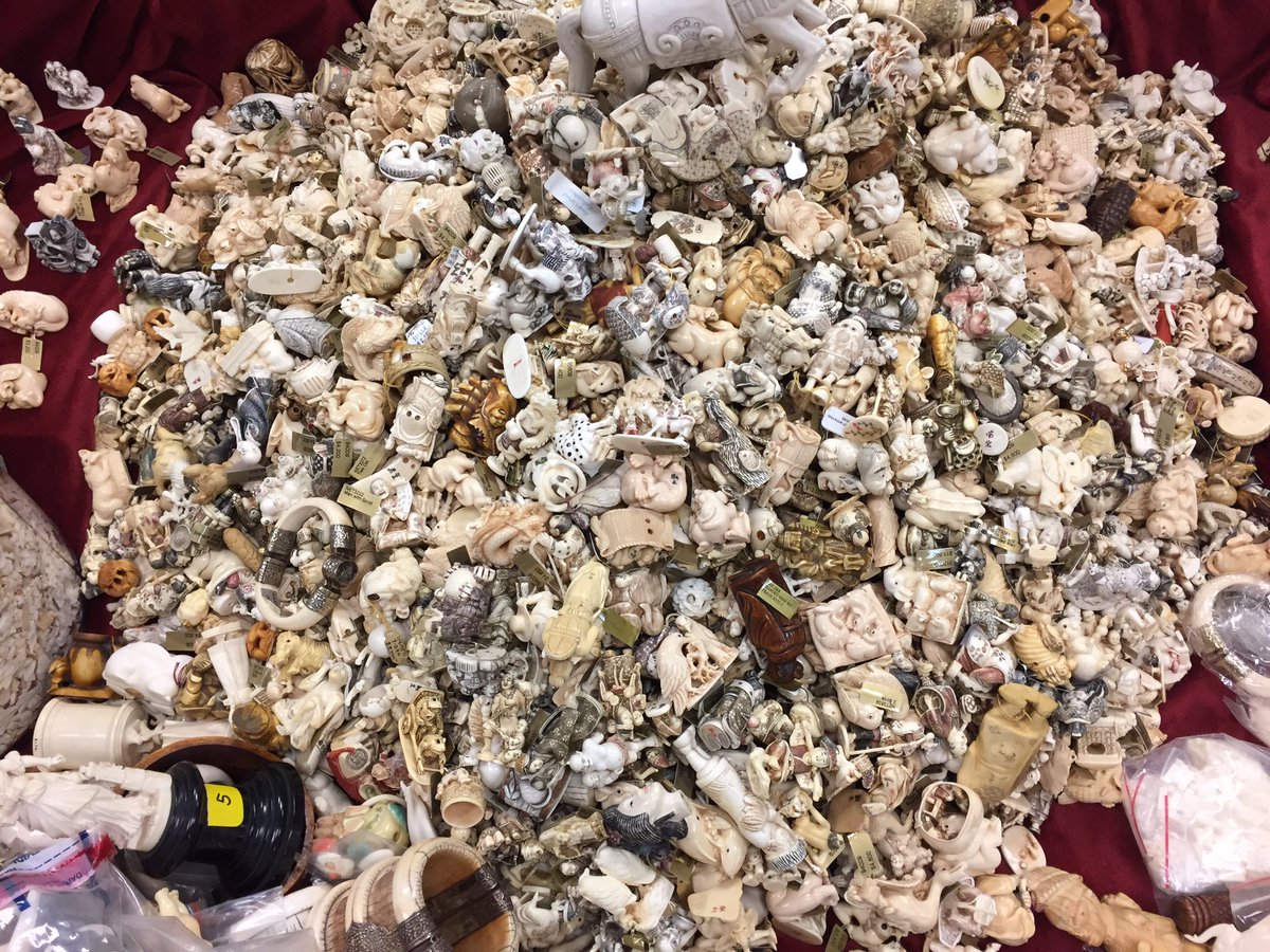 Photos: Ton of illegal ivory set for destruction