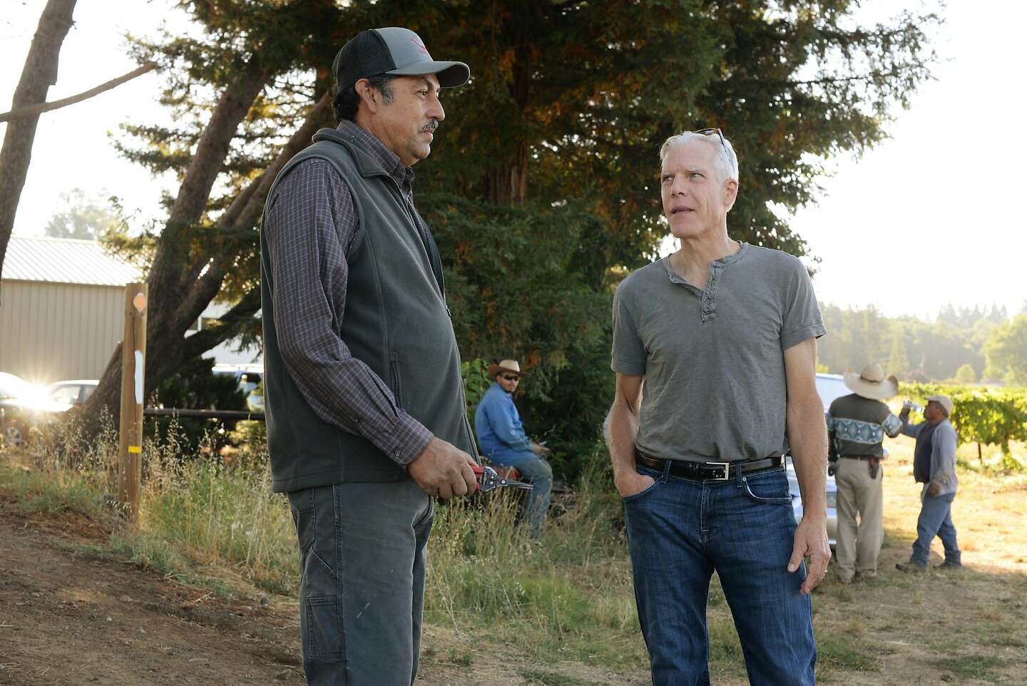 Guest worker visas a complex cure for vineyard labor shortage