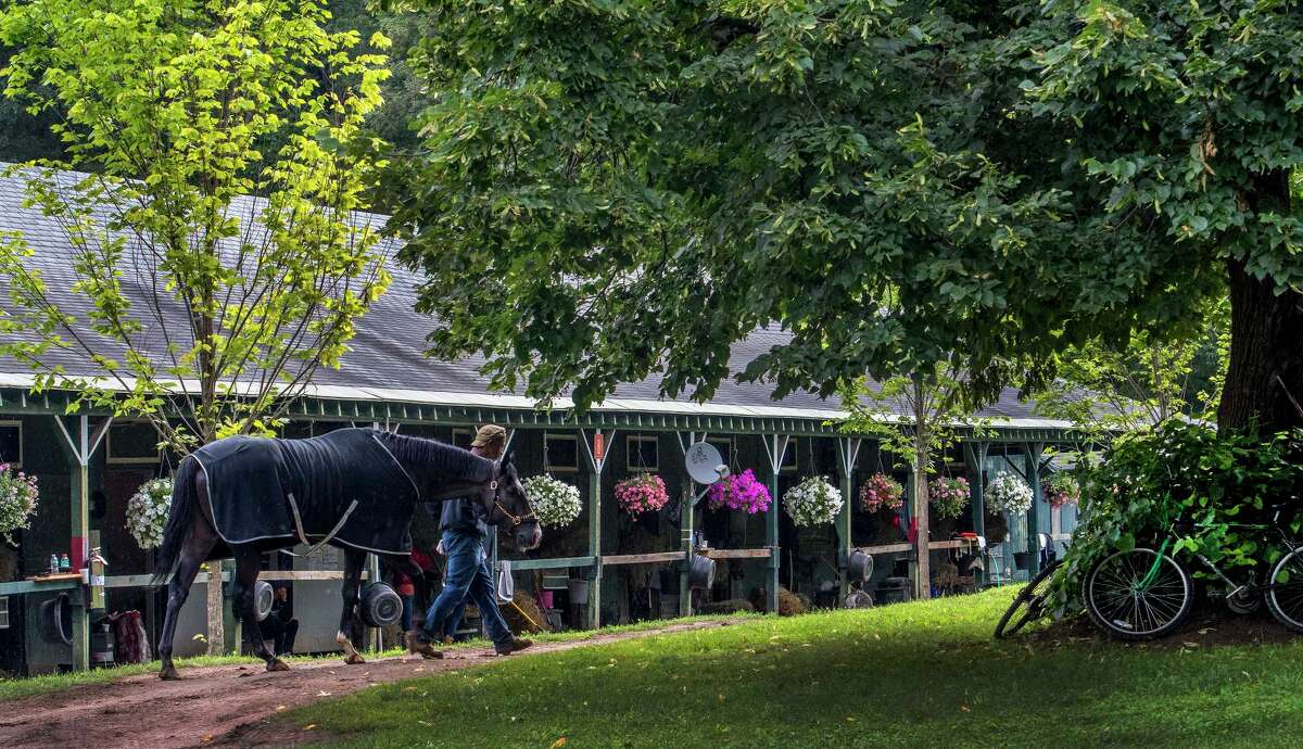 Pavel taking big step by taking on Jim Dandy at Saratoga